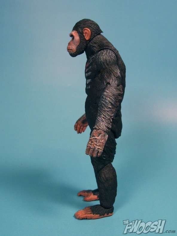 NECA – Dawn of the Planet of the Apes Maurice and Caesar