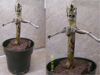 I AM GROOT! Figures, Customs, and Dancing Twigs