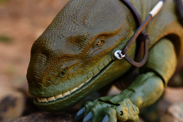 Hasbro: Black Series Dewback Review