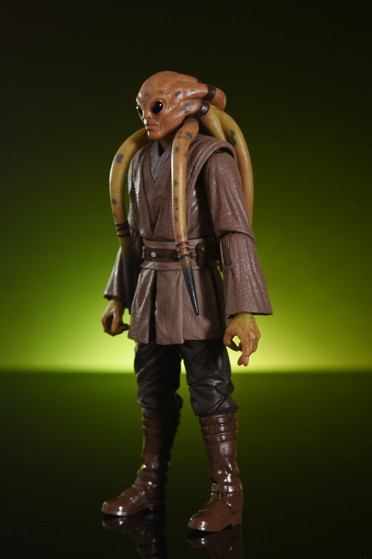 Hasbro: Star Wars Black Series Kit Fisto Review
