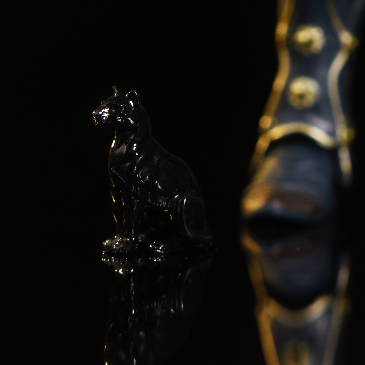 Hasbro: Dungeons & Dragons Drizzt and Guenhwyvar