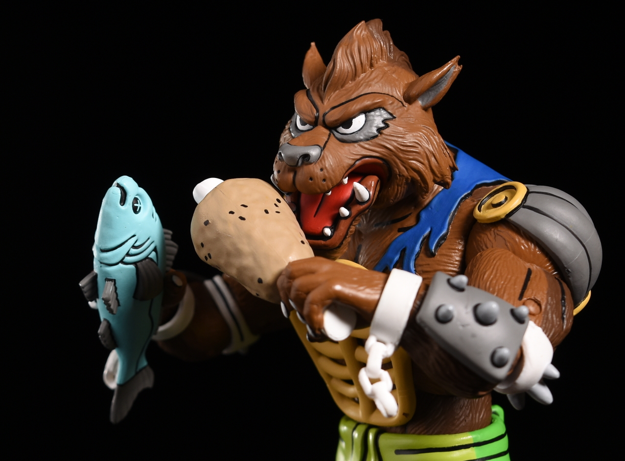 NECA: Teenage Mutant Ninja Turtles Tokka and Rahzar