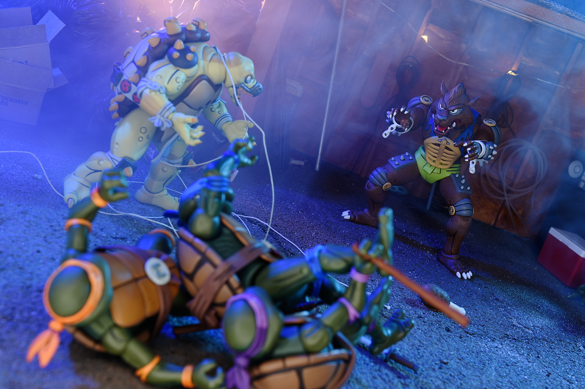 NECA: Teenage Mutant Ninja Turtles Tokka and Rahzar