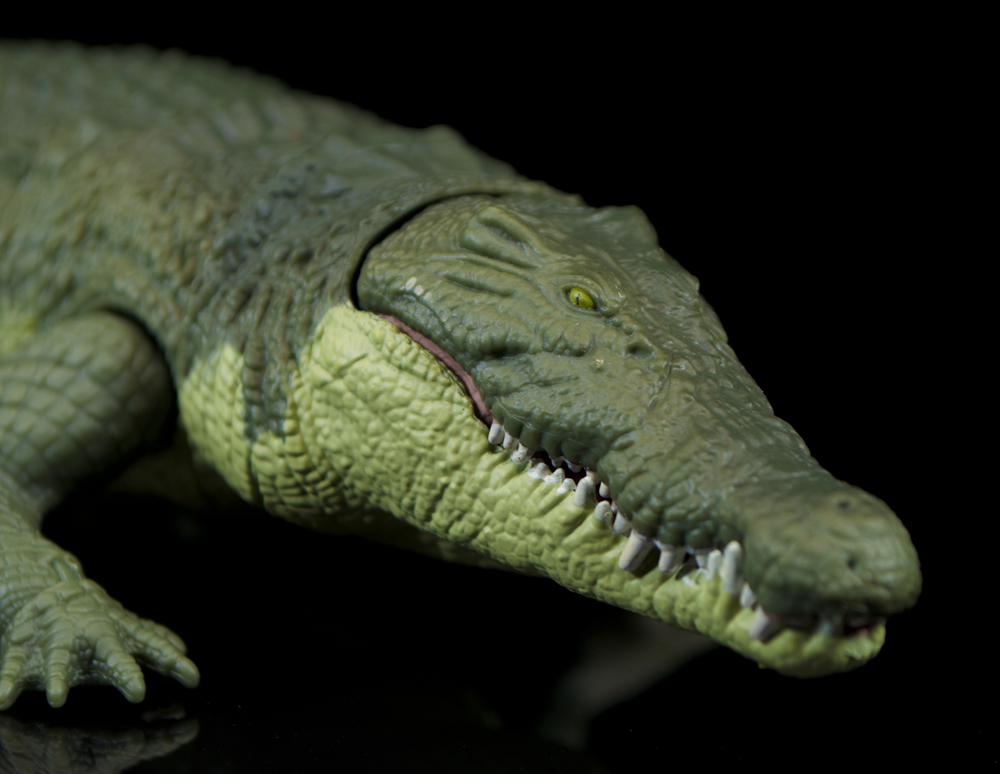 Hasbro-G-I-Joe-Classified-Series-Croc-Master-Review-fiona-3