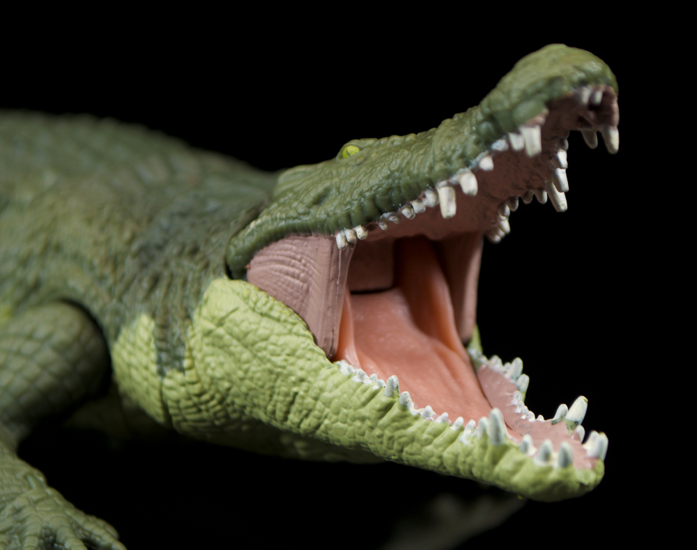 Hasbro-G-I-Joe-Classified-Series-Croc-Master-Review-fiona-4