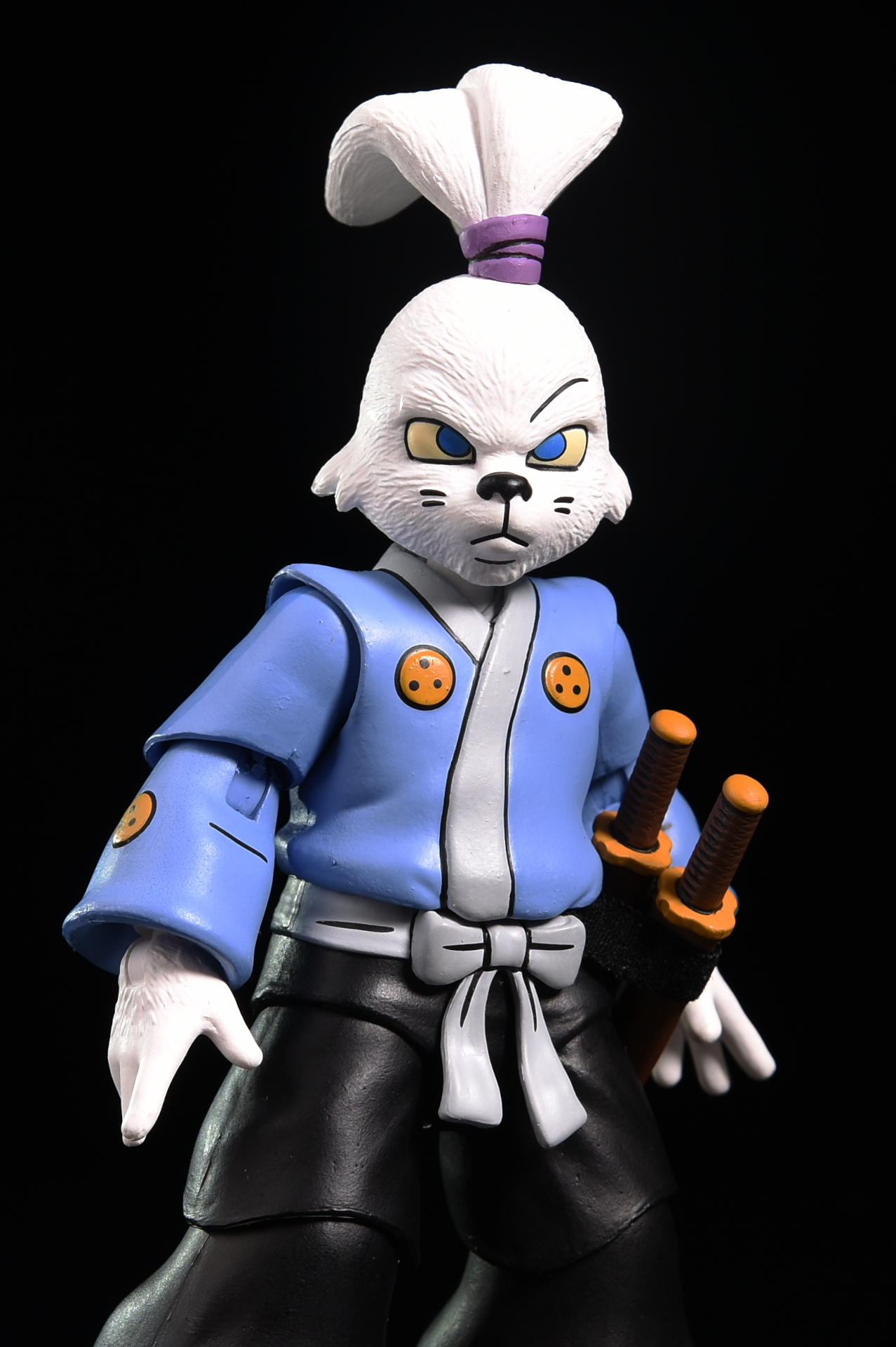 NECA: Teenage Mutant Ninja Turtles Usagi Yojimbo Review