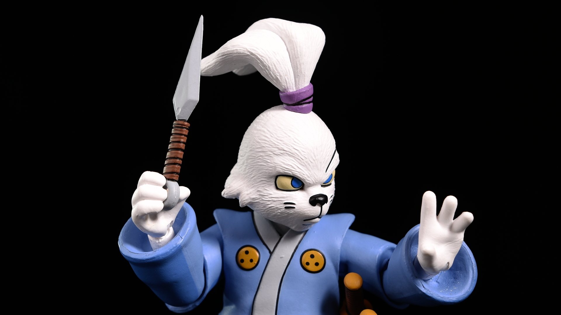 NECA: Teenage Mutant Ninja Turtles Usagi Yojimbo Review