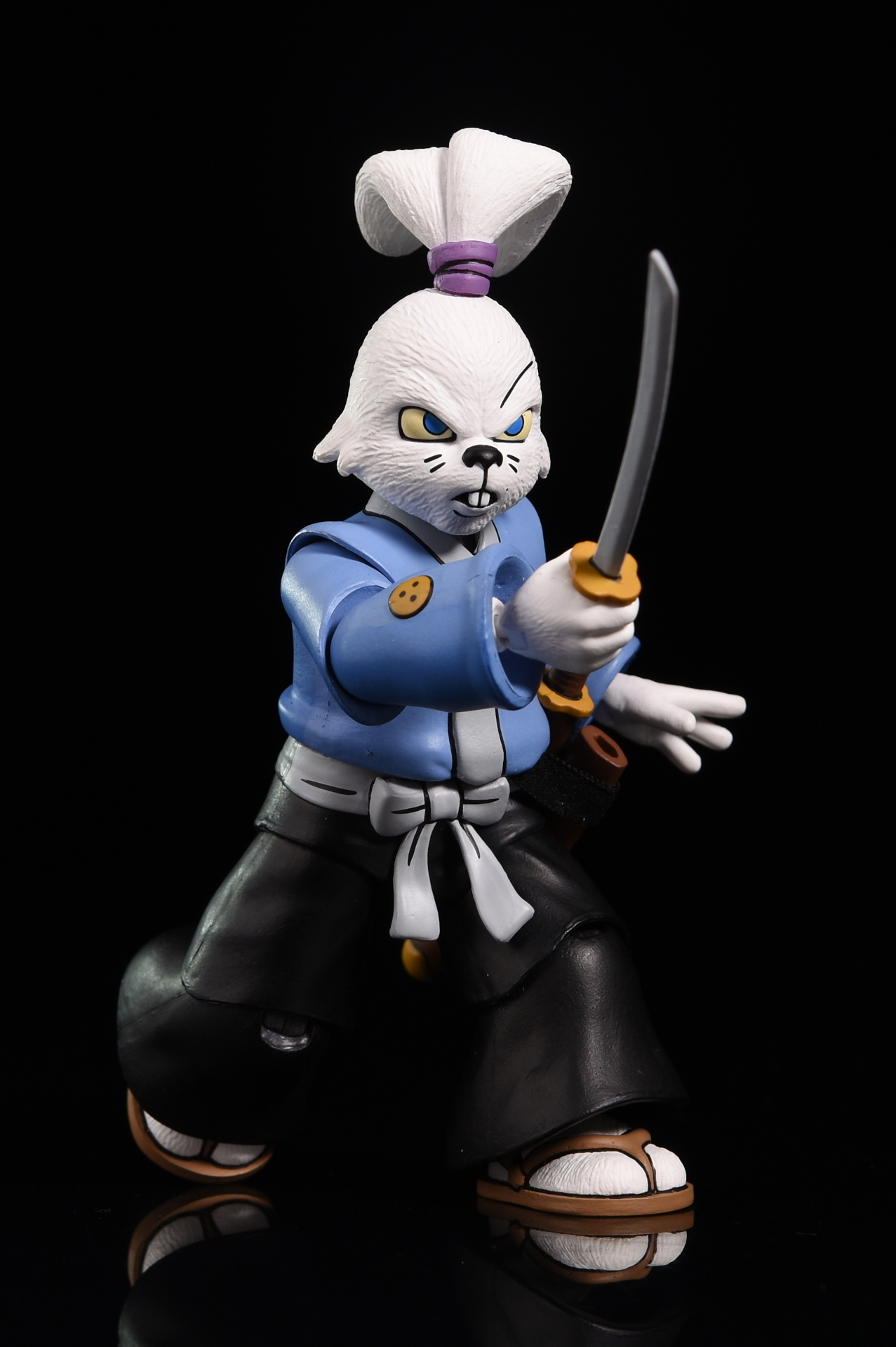 NECA: Teenage Mutant Ninja Turtles Usagi Yojimbo Review