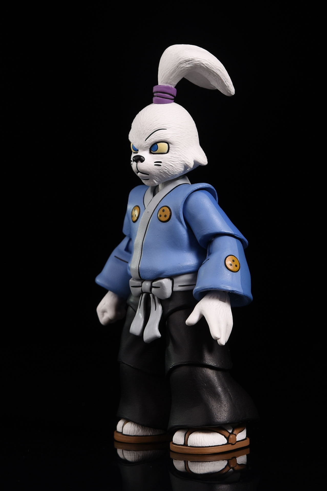 NECA: Teenage Mutant Ninja Turtles Usagi Yojimbo Review