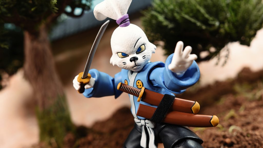 NECA: Teenage Mutant Ninja Turtles Usagi Yojimbo Review