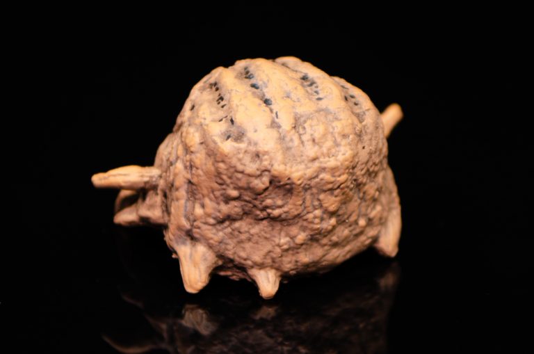 NECA: Teenage Mutant Ninja Turtles Mirage Comics Utrom Review